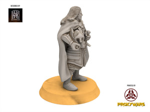 Gandor - Captain of the guard, Defender of the city wall, miniature fo