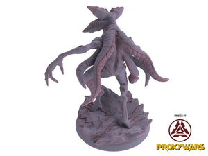 The Infinity of the Void - Monster - The Strange Thing, manifestations